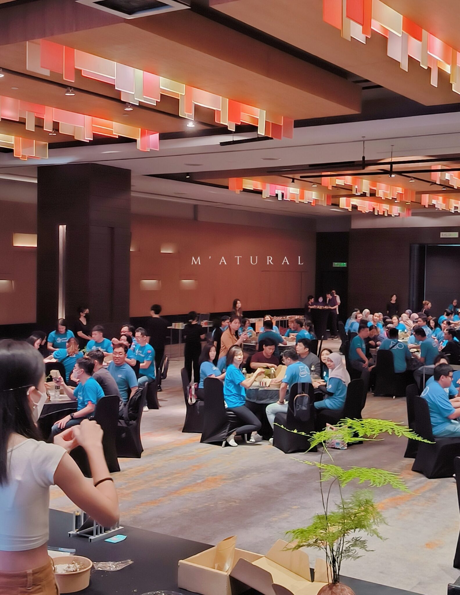 M'atural - Premium bonsai workshop studio - M'atural 莳